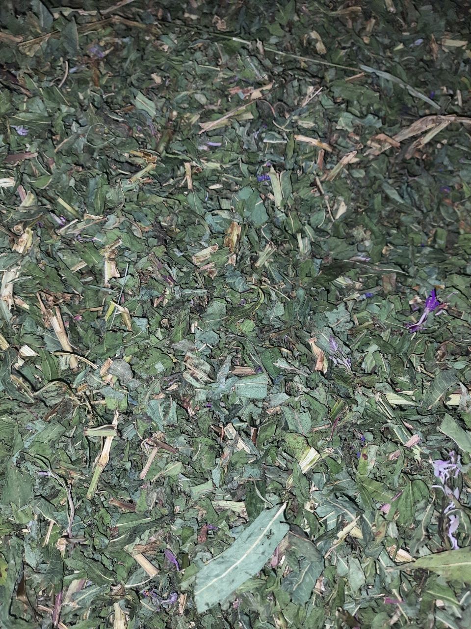 Іван чай трава за кг: 240 грн. - Продукти харчування / напої Гриньки на Olx