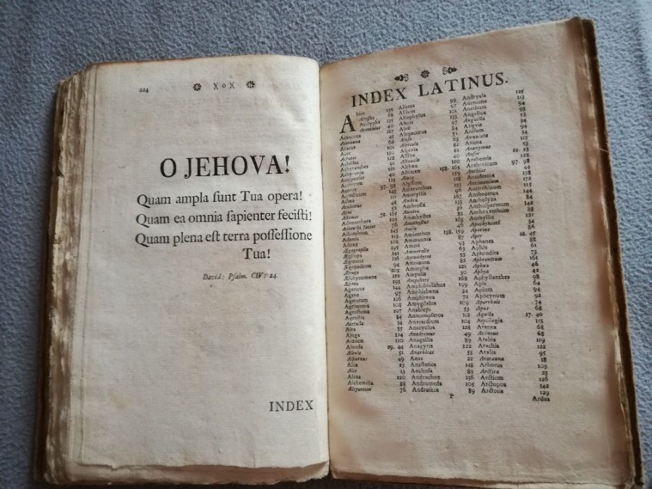 Caroli Linnaei, Systema Naturae, wydanie VI z 1748 roku - UNIKAT ...