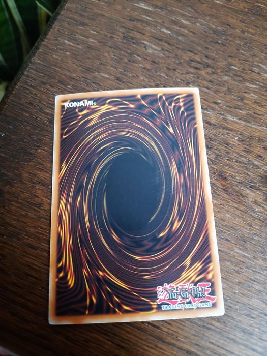 Konami DP2-EN021 Ojamuscle yu-gi-oh karta kolekcjonerska Biała Pierwsza ...