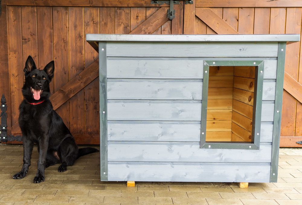 Buda dla psa typu owczarek niemiecki, labrador, ocieplona Konin • OLX.pl