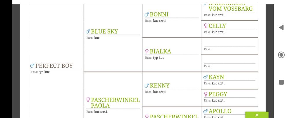 Kucyk ogierek,przepiękny tarant NOWA CENA! Gałów • OLX.pl