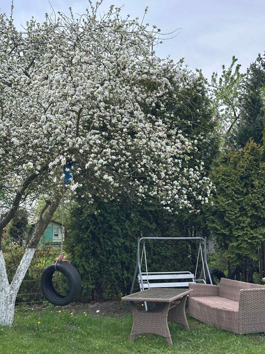 Ogródek działkowy, działka rekreacyjna, ROD "Wypoczynek" Biskupice ...