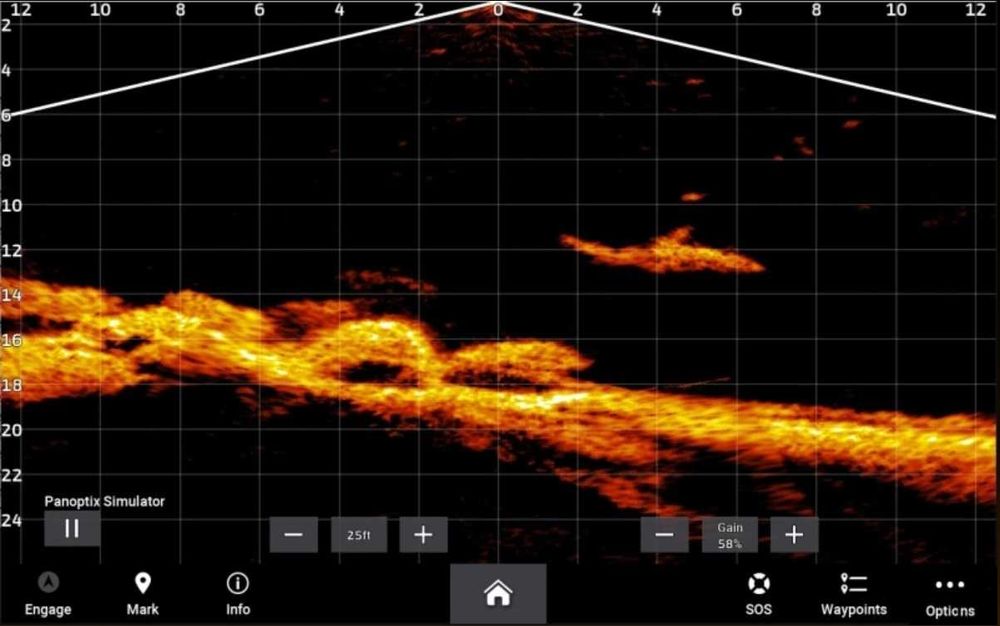 Garmin Panoptix GLS 10 + LVS34 + Ploter Echo Map 9SV z 56GT Szczecin Dąbie • OLX.pl