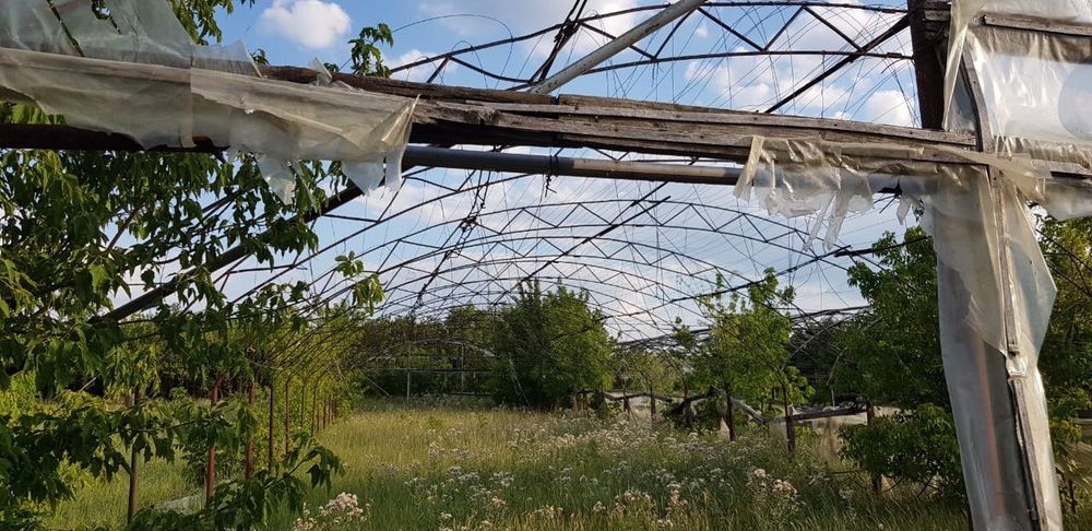 Теплицы для огорода: 80 000 грн. - Сад / город Одеса на Olx
