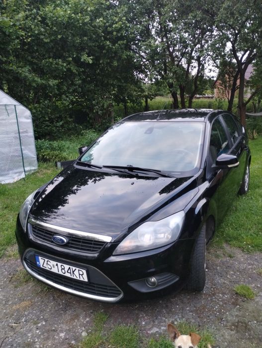 Ford Focus MK2 1.6 TDCi 109 KM, 2009 rok. Sławków • OLX.pl