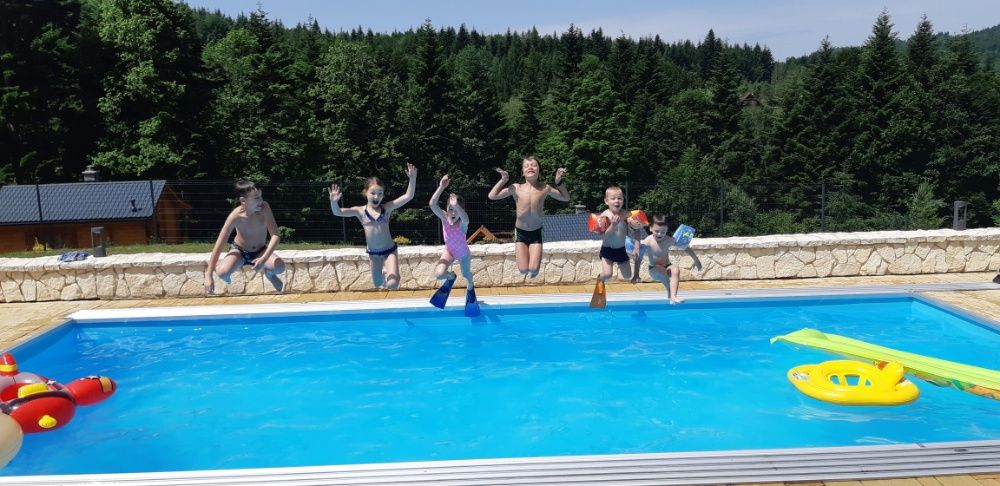 Domki Pod Jałowcem - WAKACJE!!! (Basen, jacuzzi, sauna, grill ...