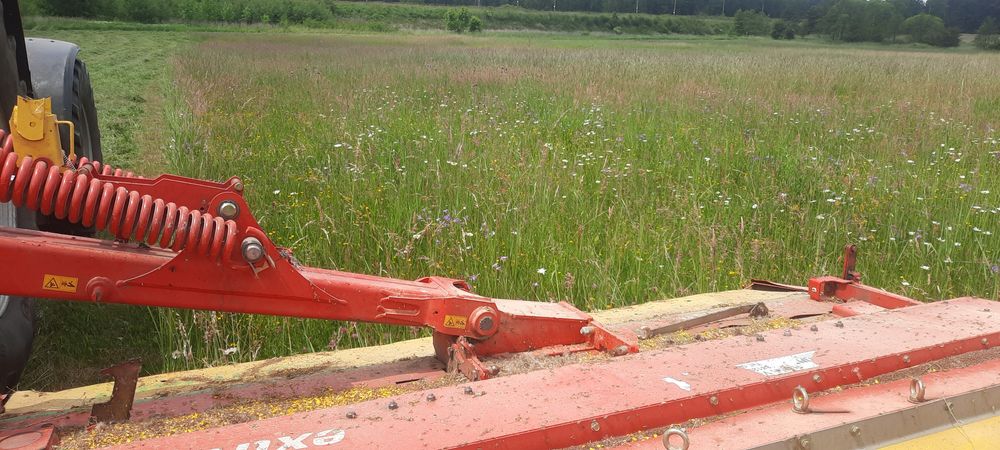 Siano w belach 120x120 / siano wysokiej jakości dla koni bydła / siano ...