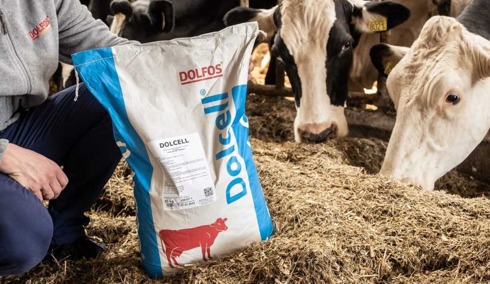 DOLFOS Dolmilk Md 1 20 Kg Mleko Dla Cieląt W Proszku Hit Cenowy Josera Mołożów • OLX.pl