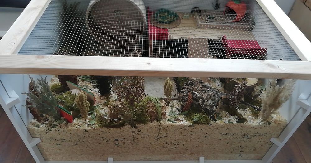 Dla Ciebie wszystko - sprawdź nowe oferty!