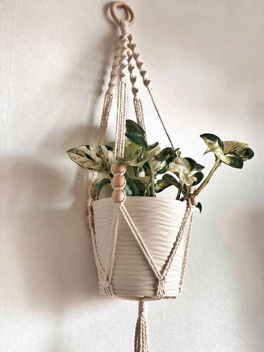 Кашпо для квітів в техніці макраме 200 грн Кімнатні рослини Мукачеве на Olx