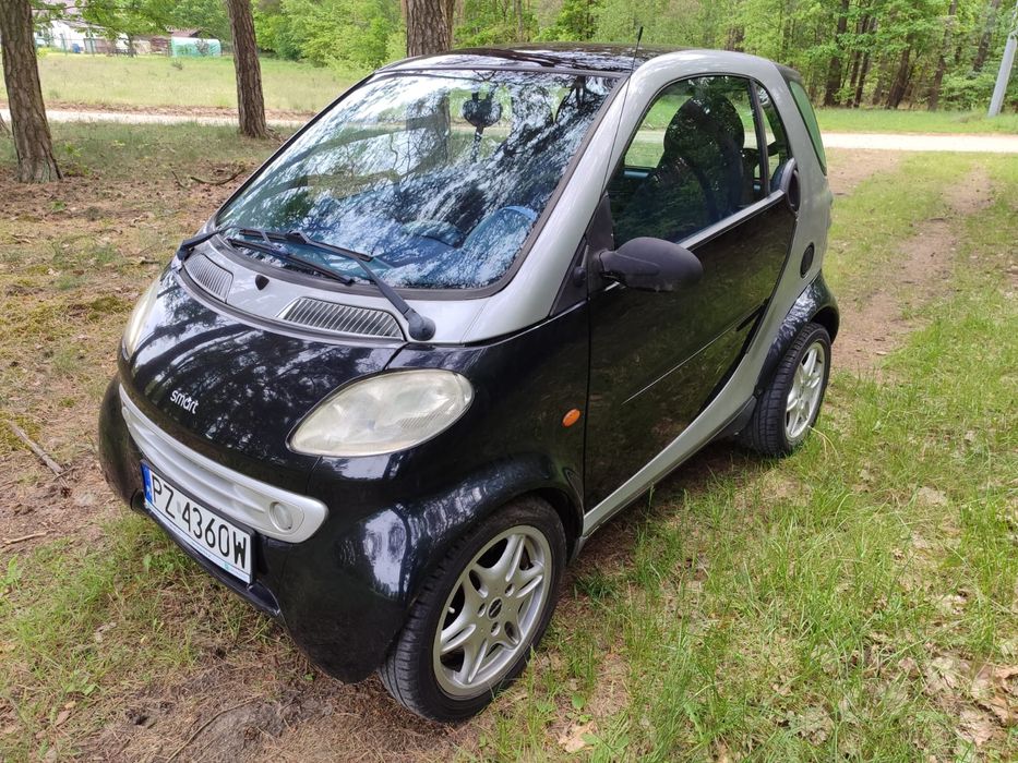 Smart 600 tanio ! Skoki • OLX.pl
