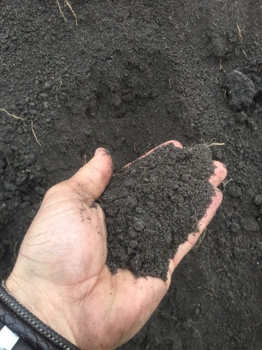 Czarnoziem, czarna ziemia urodzajna ziemia ogrodowa Warszawa i okolice ...