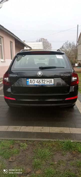 Шкода Октавия А7: 13 999 $ - Skoda Чоп на Olx