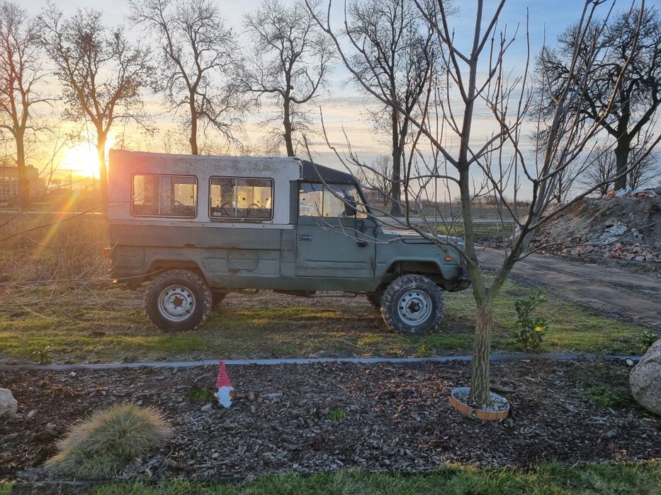 Sprzedam dwa tarpany honker Kalinowa • OLX.pl