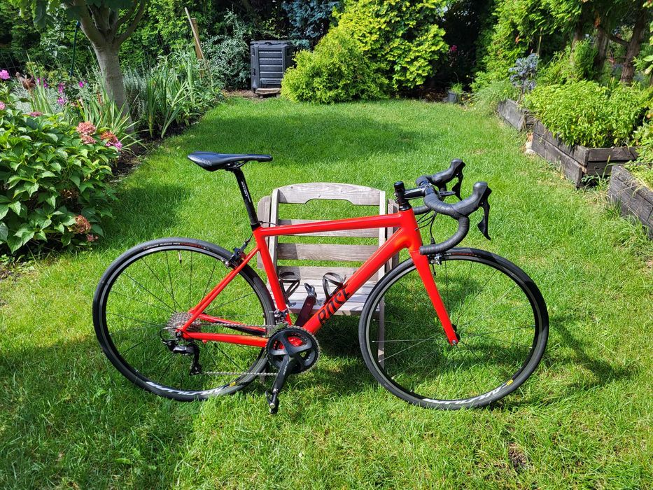 Rower Rose Pro SL 105 / Szosa Rose Pro SL 105 Katowice Kostuchna • OLX.pl