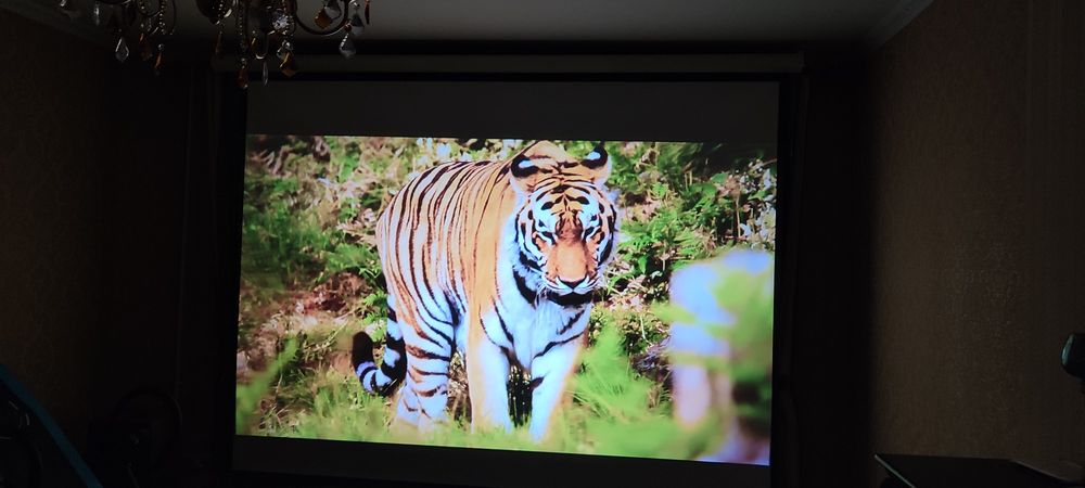 Проектор Panda Stella-A 1920x1080 супровід 4к 8000 Люмен 600 ансі: 5 ...