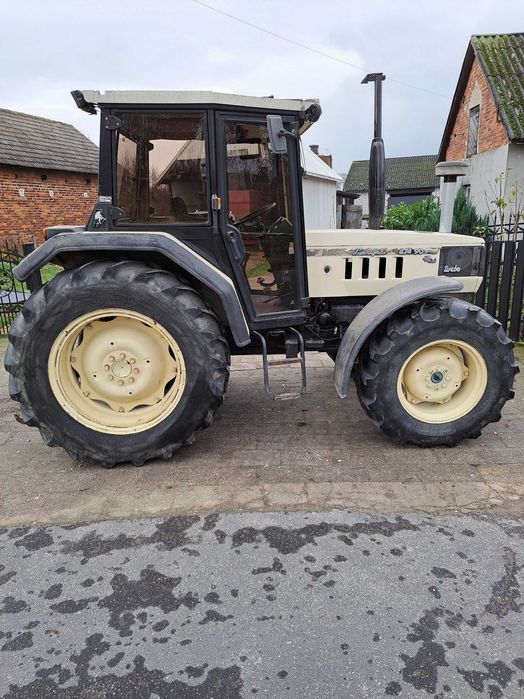 Lamborghini 874-90 Czerniewice • OLX.pl