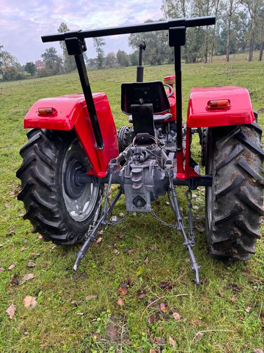 Massey Ferguson 133 sadowniczy sadownik ( MF255, 235, 2812,John Deere ...
