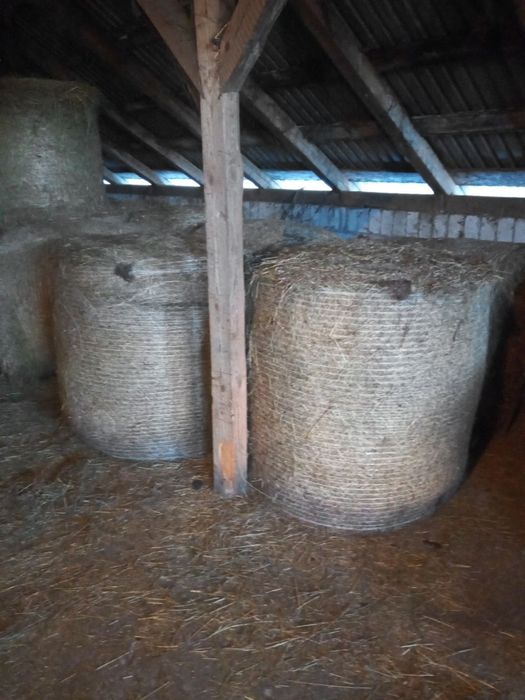 Siano, sianokiszonka, słoma w belach Łomża • OLX.pl