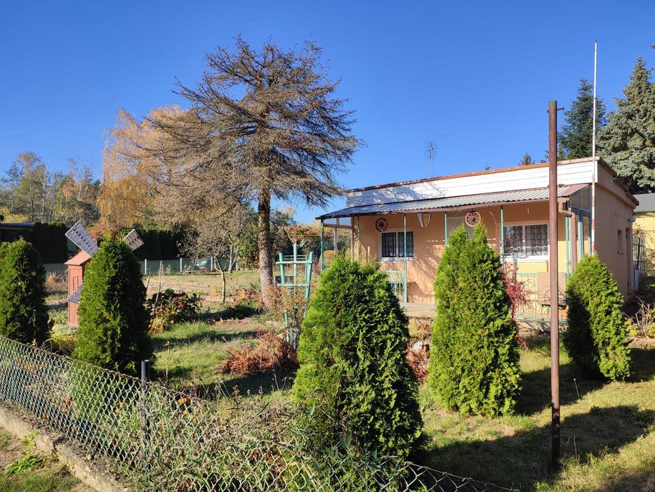 Narożna działka ROD z murowanym domkiem – Romanów k. Łodzi Romanów • OLX.pl