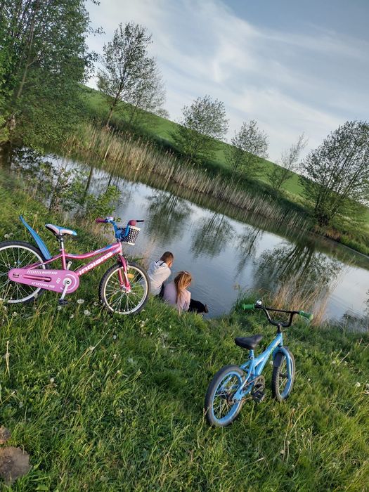 Gospodarstwo agroturystyczne Wysoccy Polnica • OLX.pl