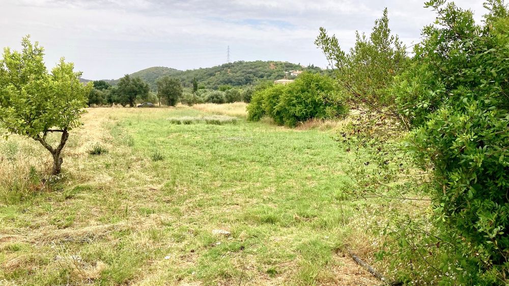 Terreno Rustico São Brás com Agua São Brás de Alportel • OLX.pt