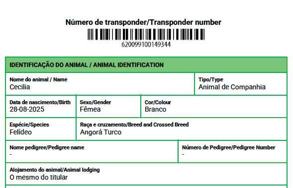 Cecília. Angorá turca branca. Olhos díspares. Linda! LOP e Vacinas ...