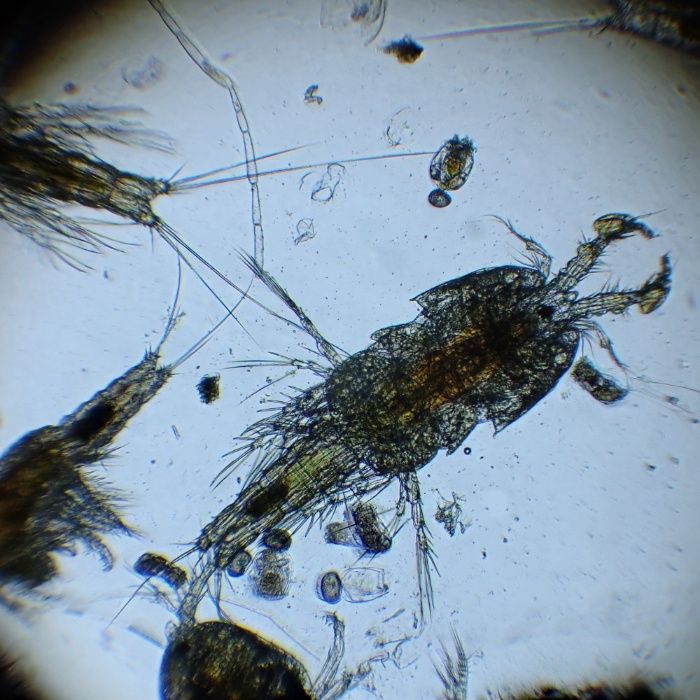 Dla Ciebie wszystko - sprawdź nowe oferty!