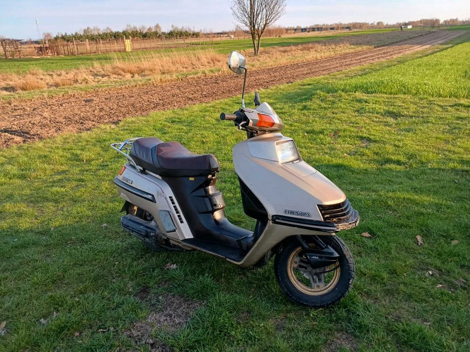 Honda Spacy 250 Rzeszów • OLX.pl