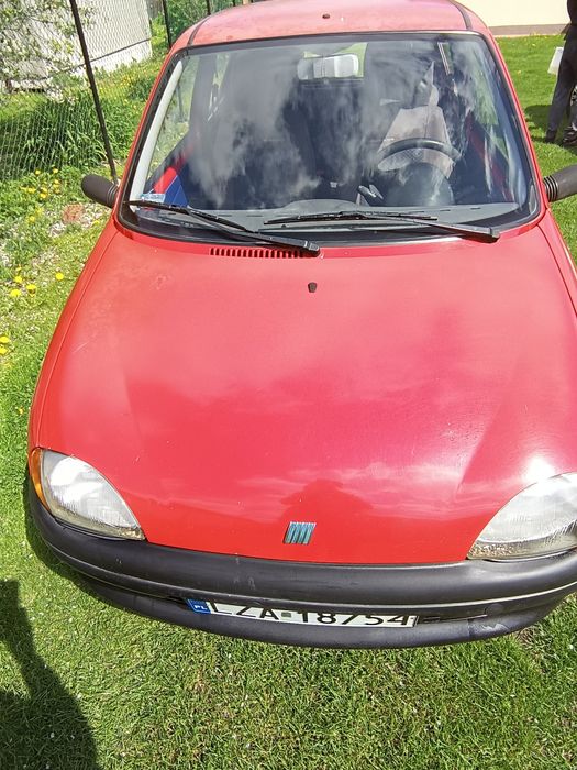 Fiat Seicento pojemność 900 Staw Ujazdowski • OLX.pl