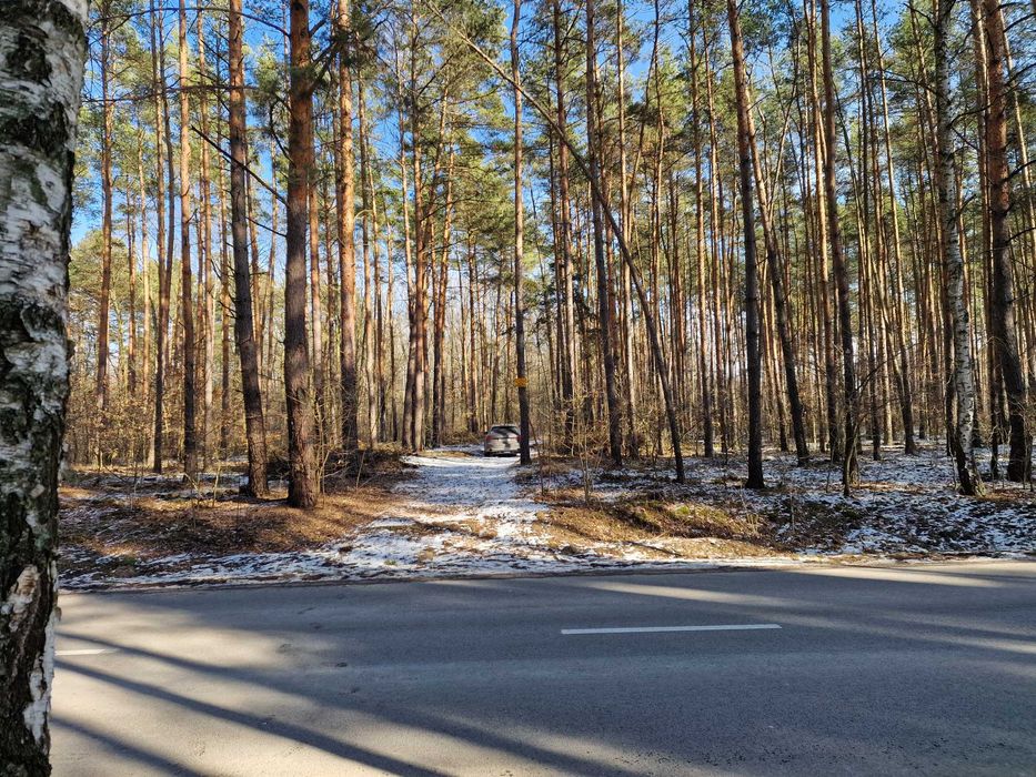 Dzialka leśna 5200m Czarny Las • OLX.pl