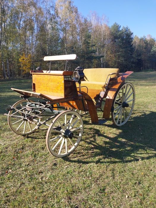 Bryczka konna powóz dorożka Nowa Wieś • OLX.pl