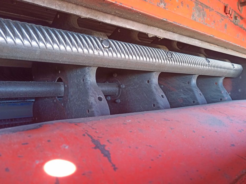 Bizon super z056 Masłowo • OLX.pl