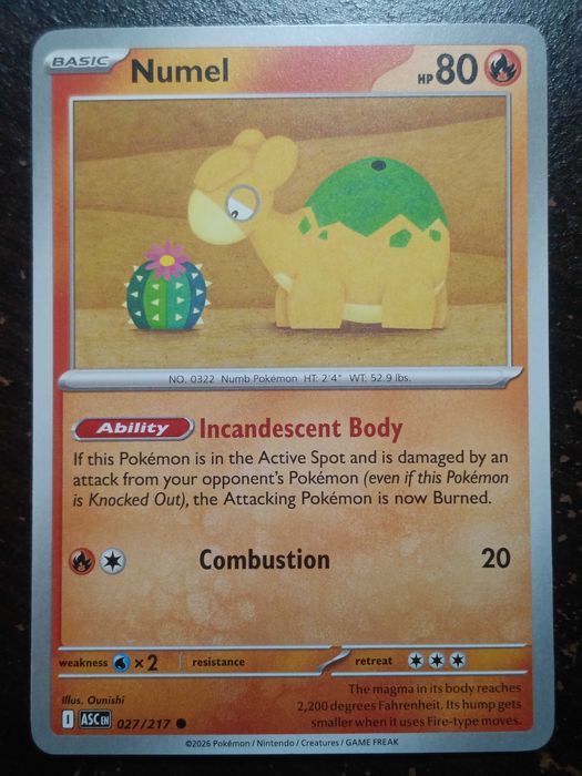 Numel 027/217 Karta POKEMON TCG Mega Evolution Ascended Heroes Siedlce ...