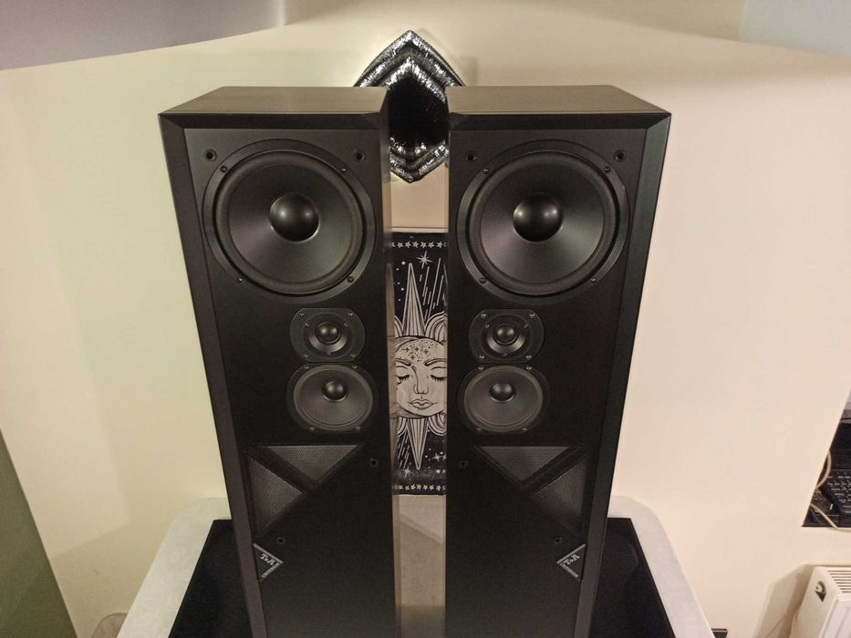 Kolumny głośnikowe T+A Criterion T110E duże wysokie Kamienna Góra • OLX.pl