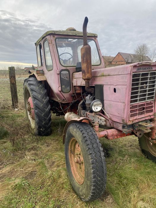Sprzedam MTZ 50 rok 1973 Debrzno • OLX.pl