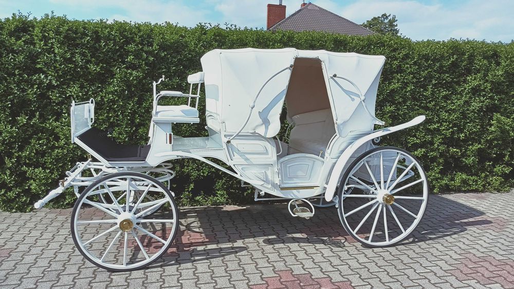 Bryczka powóz konny Vis a Vis 2 budy Gostyń • OLX.pl