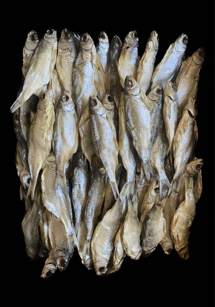 Вобла з ікрою (Преміум якість) - 1 кг: 1 250 грн. - Продукти харчування ...