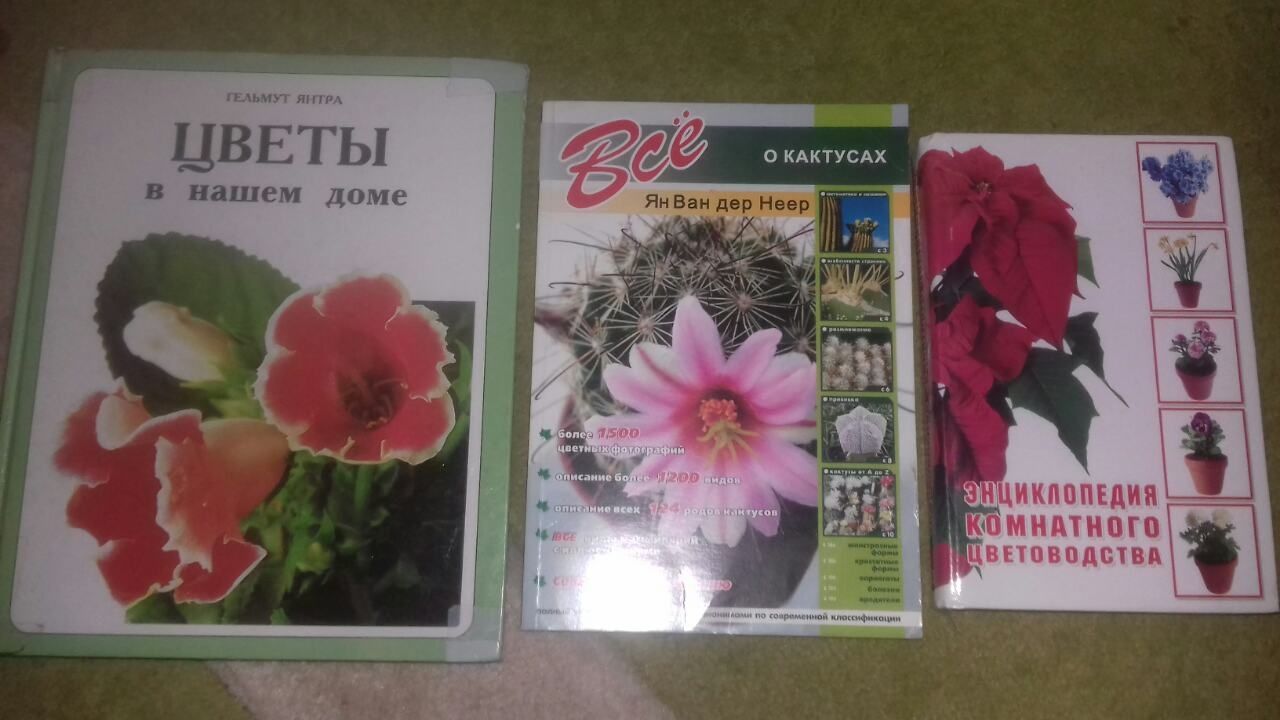 Книги все о кактусах,энциклопедия Цветы в нашем доме.За все 3книги 400: ...