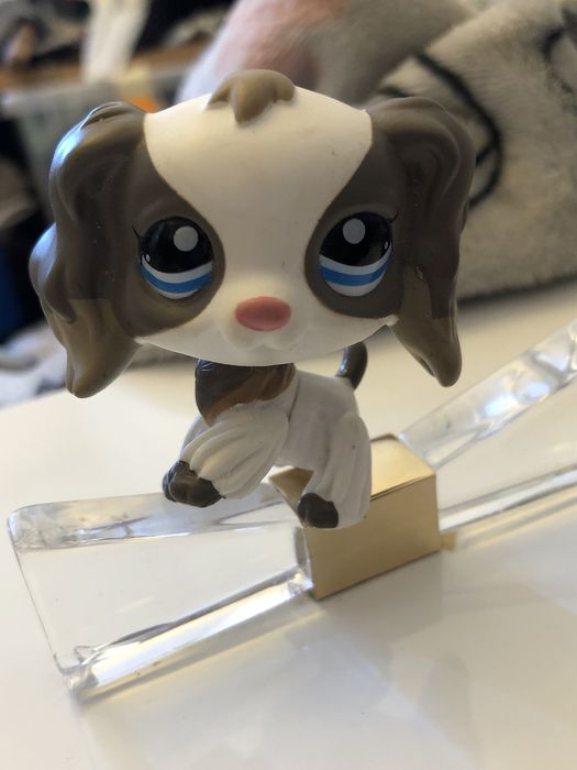 Littlest Pet Shop pies Jamnik #2254 LPS POP Dog Collie Spaniel Warszawa ...