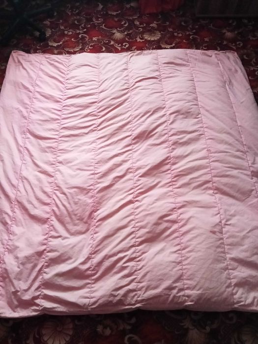 Pierzyna, pióra pierze Szczytno • OLX.pl