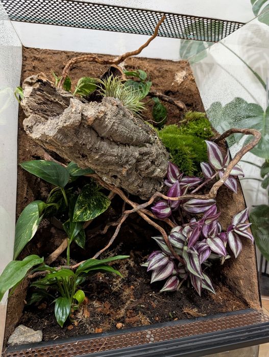 Terraria na zamówienie TERRARIUM Toruń Geckonowe Love Toruń • OLX.pl