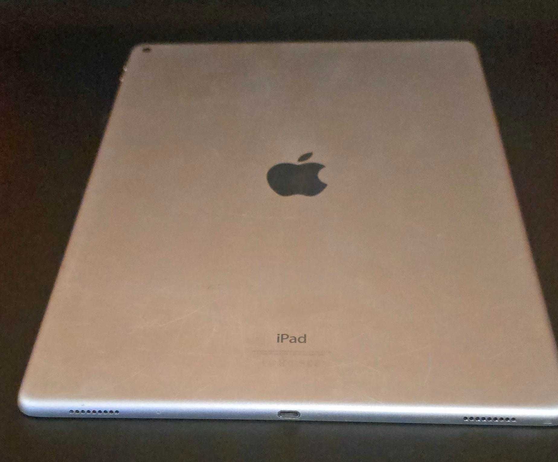 Ipad pro 1st gen store