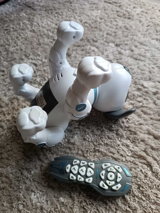 Cão Robot Zoko Speed Wheels Águeda E Borralha • OLX.pt