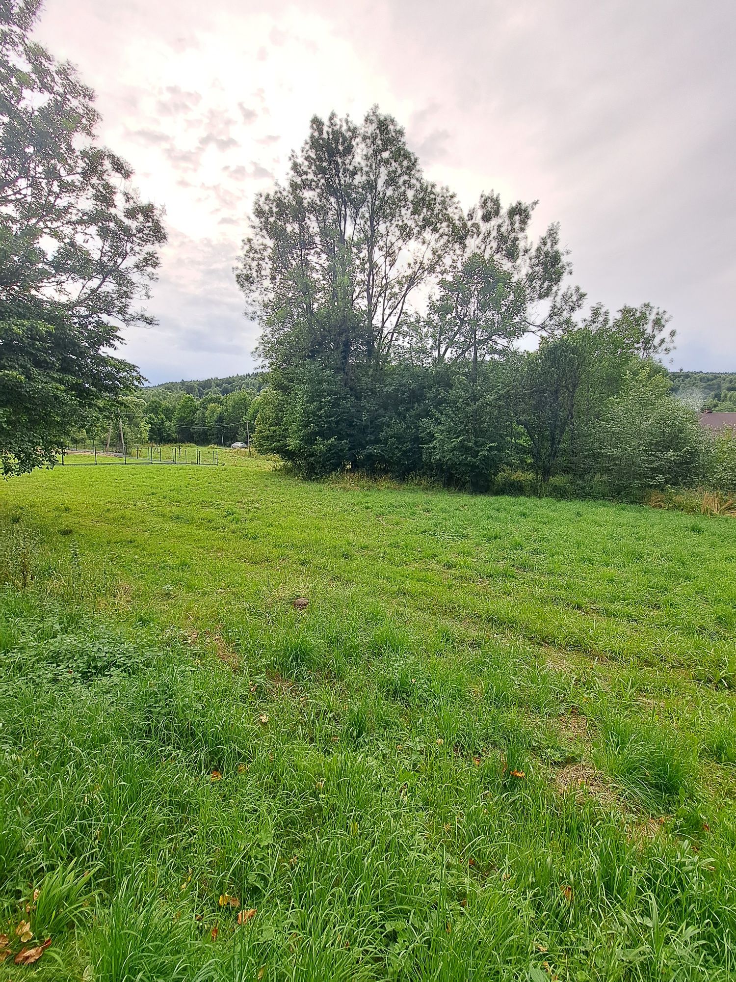 Działka budowlana prad ,woda, kanalizacja Stryszawa • OLX.pl Działka budowlana prad ,woda, kanalizacja Stryszawa • OLX.pl