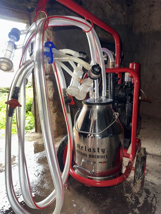 Maquina ordenha ovelhas/cabras Vilares E Carnicães • OLX.pt