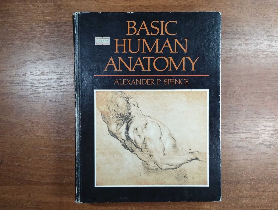 Basic Human Anatomy Alexander Spence Анатомия для художников: 900 грн ...