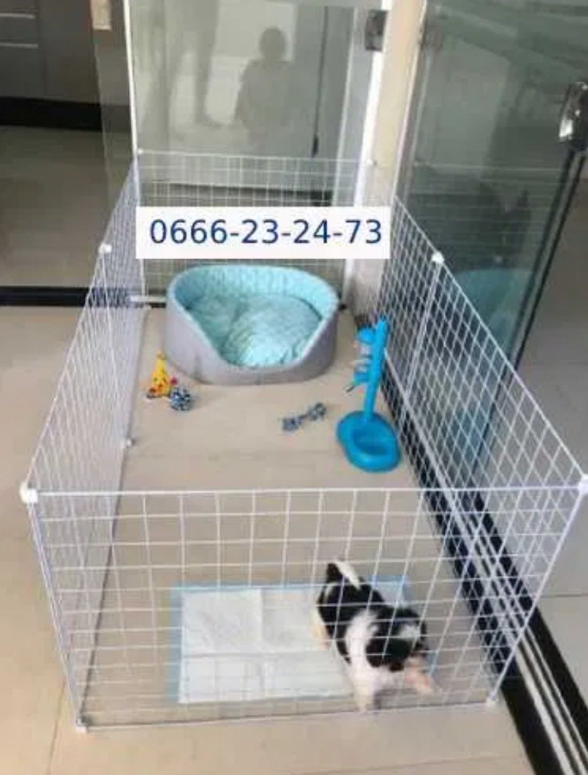 Вольер, Манеж, Загон, Клетка для щенка собак, кролика, кошки, кота: 249 ...