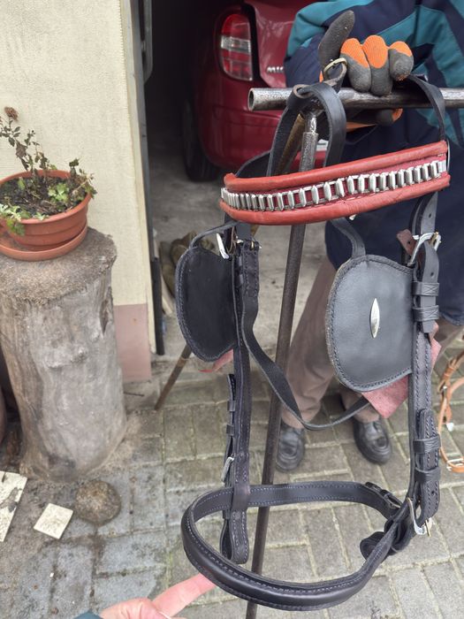 Kantar z okularami Koluszki • OLX.pl