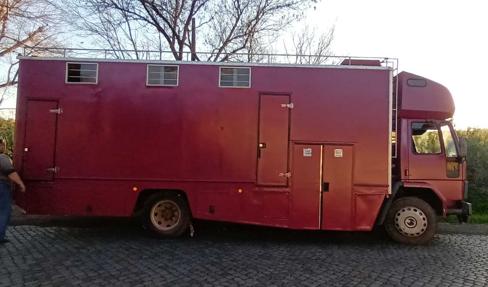 Camião para Transporte de cavalos Carregado E Cadafais • OLX Portugal